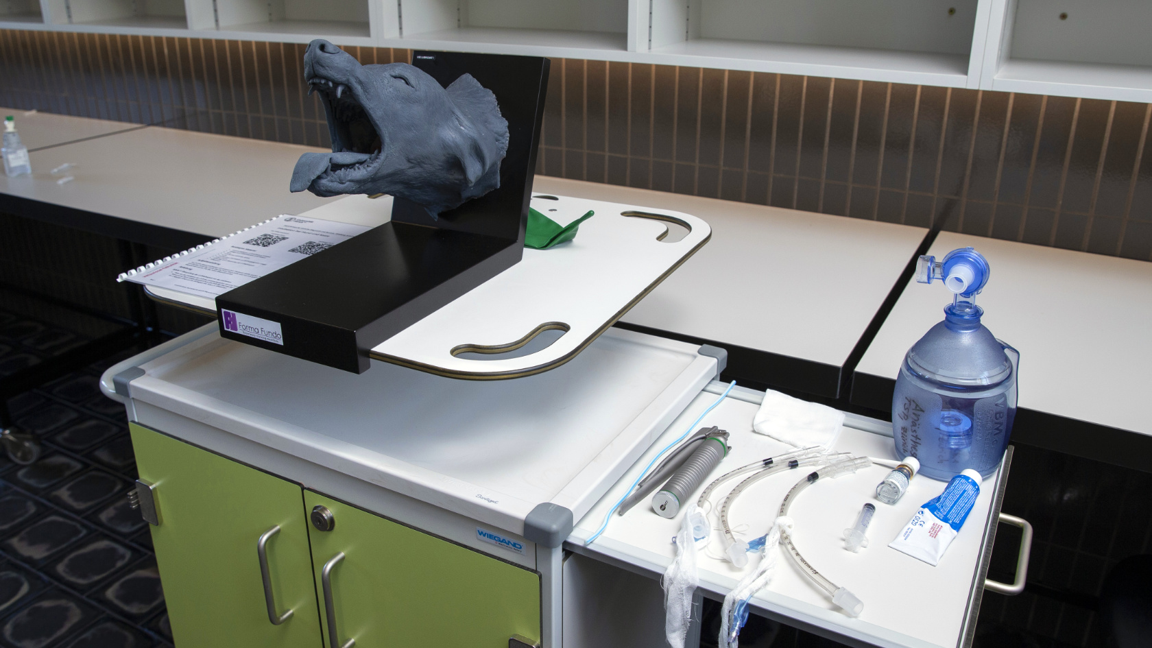 Honing Anesthesia Techniques Using Silicone Animal Models | | UZH